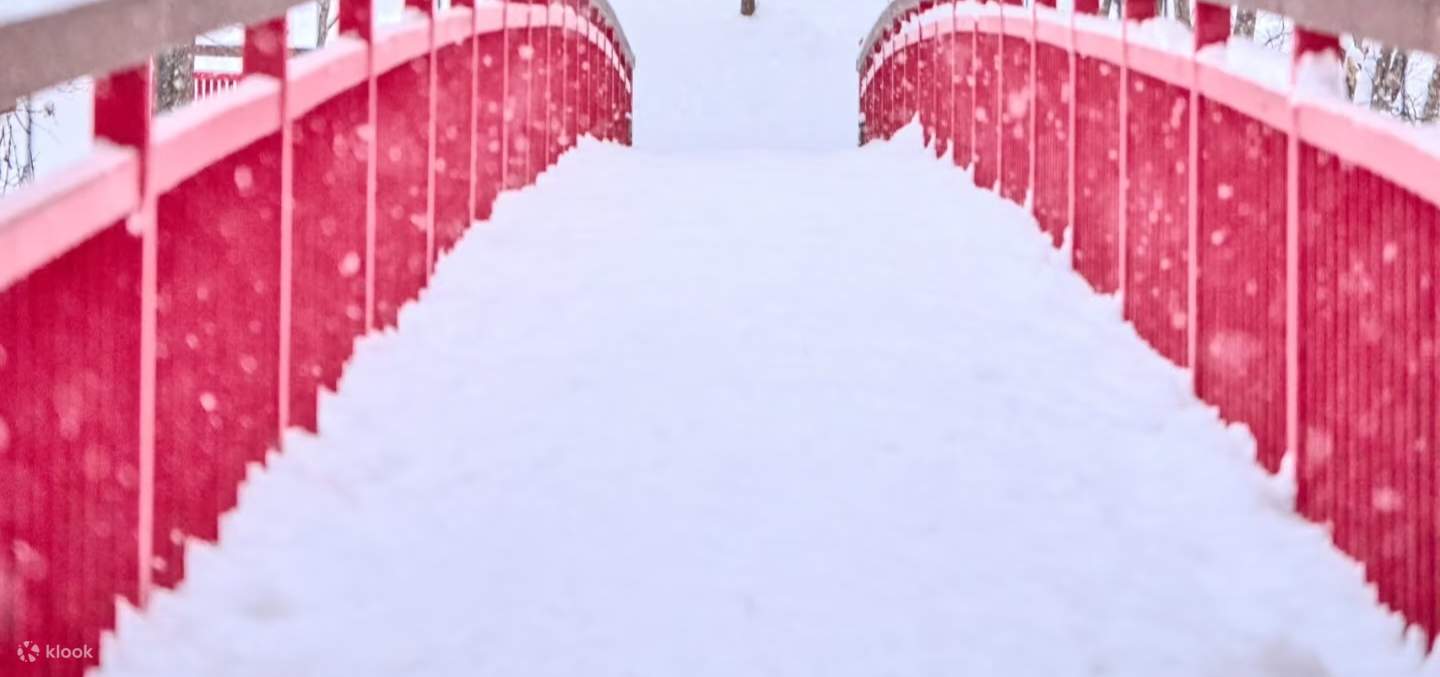 [Winter Limited, departure from Sapporo] Jozankei snow scenery tour × ...